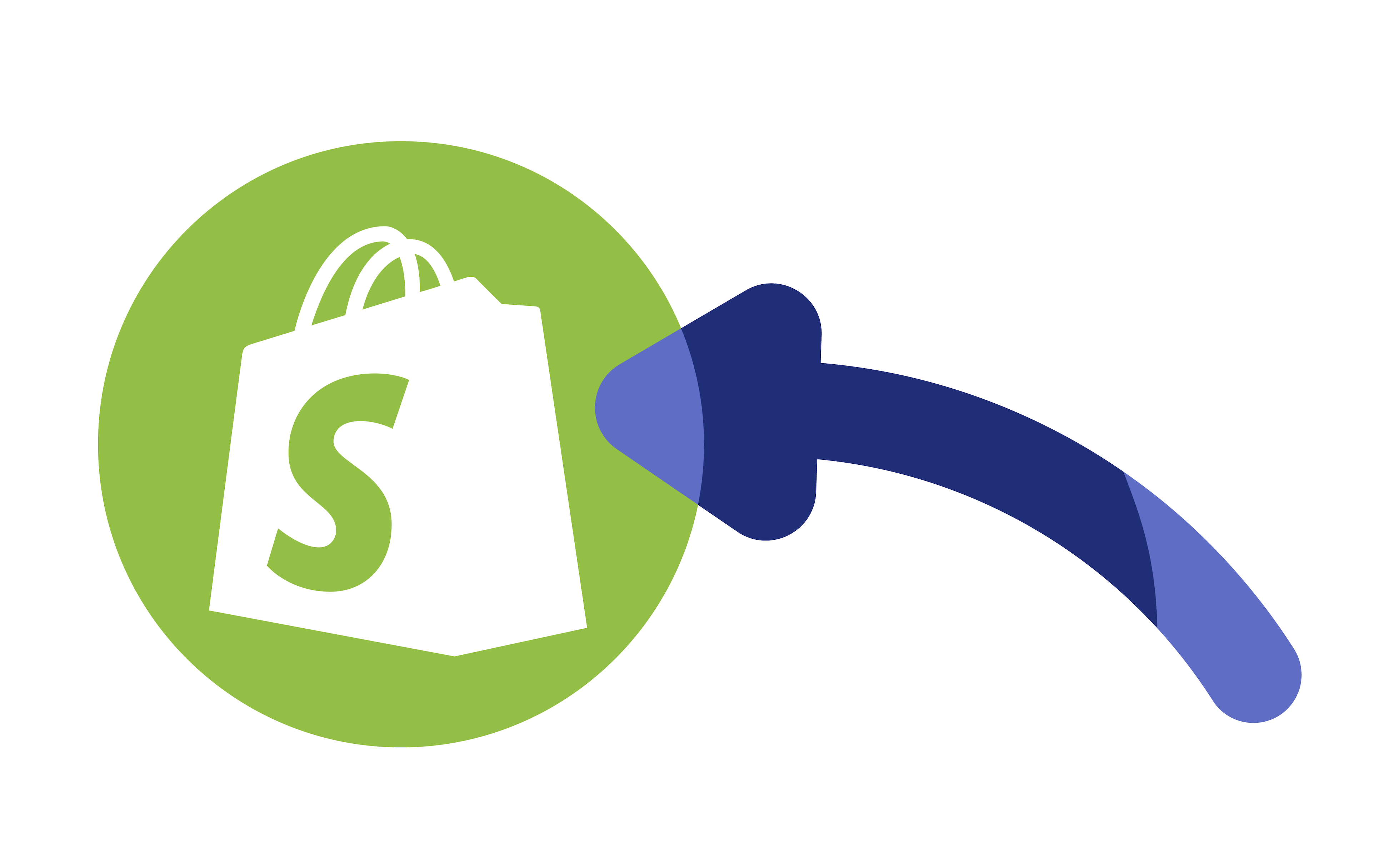 Bulk import Shopify B2B Companies - Matrixify App Bulk import Shopify B2B Companies - Matrixify App